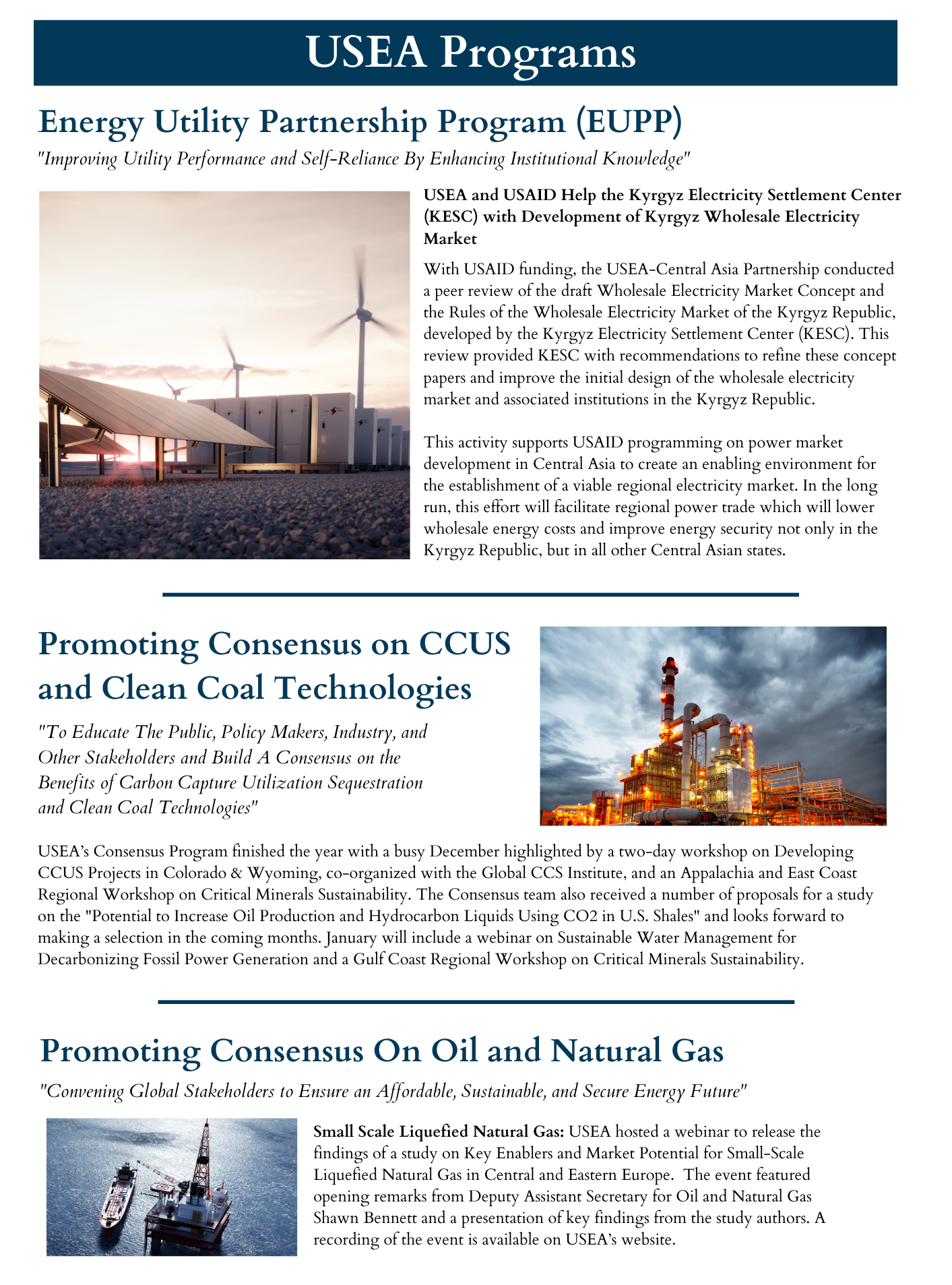 USEA Newsletter: January 2021 | USEA | United States Energy Association