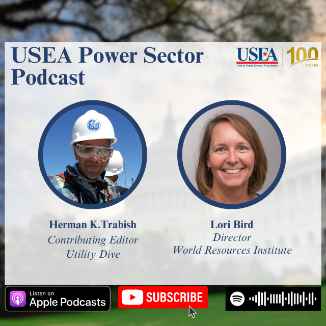USEA Power Sector Podcast 145: World Resources Institute Director Lori ...
