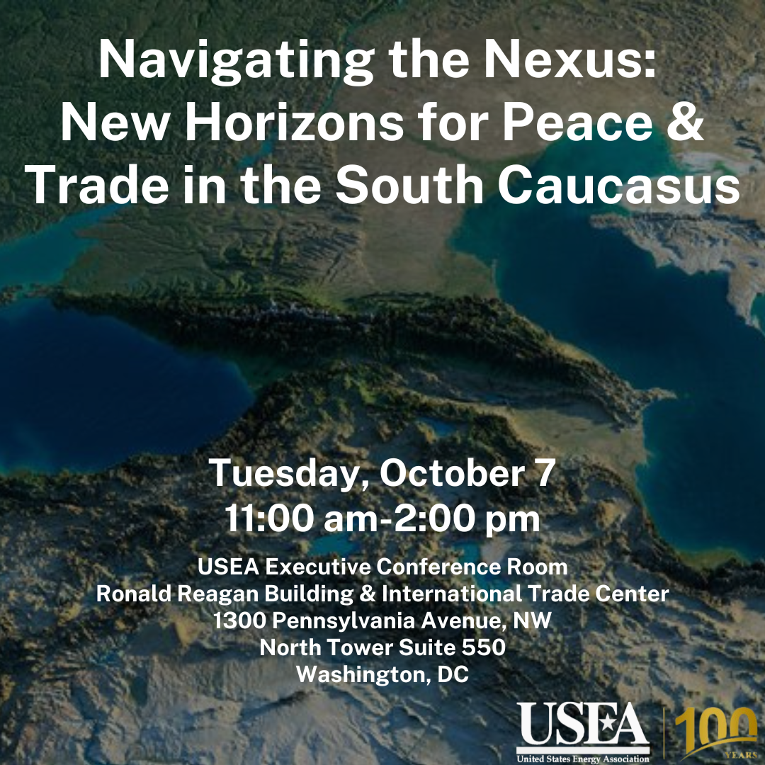 Navigating the Nexus: New Horizons for Peace & Trade in the South ...